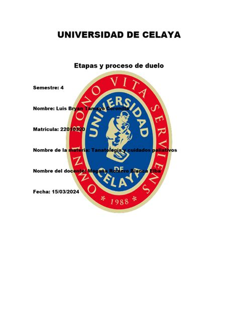 Etapas Y Procesos De Duelos Pdf