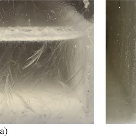 Dendrites And Bubble Formation During Solidification Adendrites