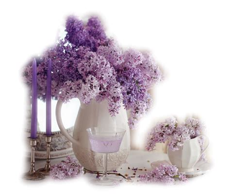 Tube Lilas