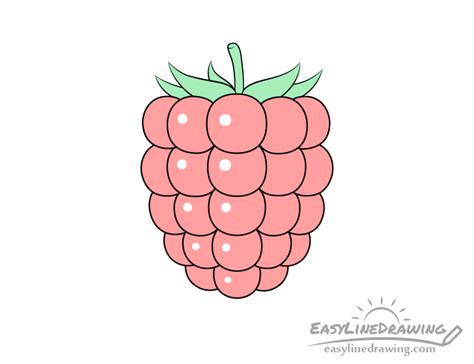 How To Draw A Raspberry Step By Step Easylinedrawing