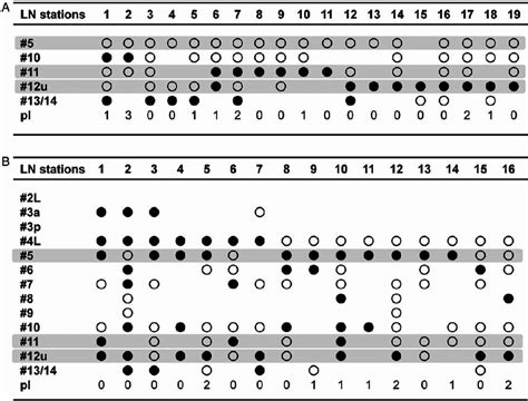 The Lymph Node Metastasis Patterns In Ct2n1m0 Or Lower Stage Tumours