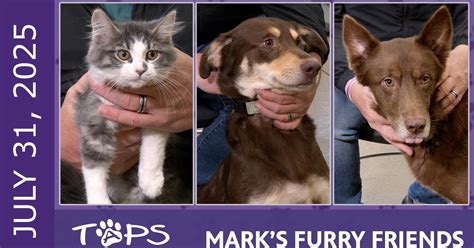 Marks Furry Friends 07 31 2025 Candy Necklace Bubba And Bach Marks Furry Friends