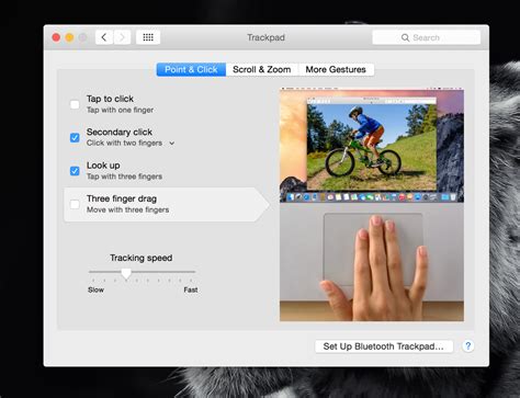 System Preferences Mac For Dummies