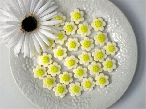 Daisy Mints 6 Dozen Cream Cheese Mints Etsy Cream Cheese Mints Cream Cheese Mint