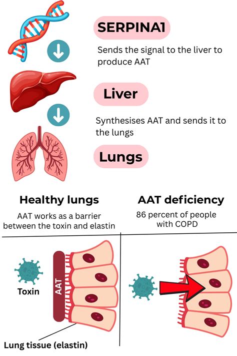 Aat Compare Janda Website