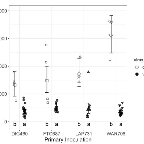 Lesion Area By Primary Inoculation And Challenge Inoculation With Virus