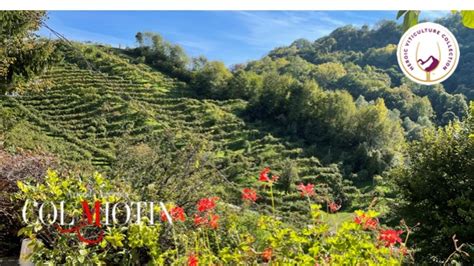 Col Miotin Heroic Viticulture Prosecco