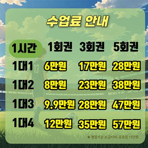 60분 수업 방문체육과외스포츠라운지