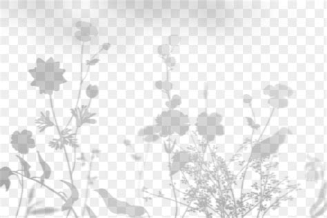 Png Floral Field Shadow Design Premium Png Rawpixel