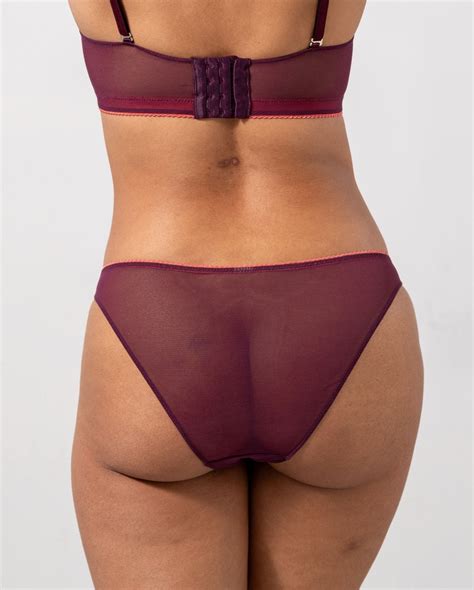 Mesh Bikini Briefs Cherrycoral Understatement