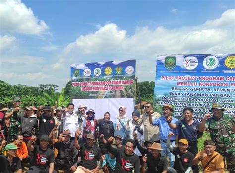 Kementan Dan Pemuda Tani Genjot Tanam Jagung Perkuat Ketahanan Pangan Kabarika