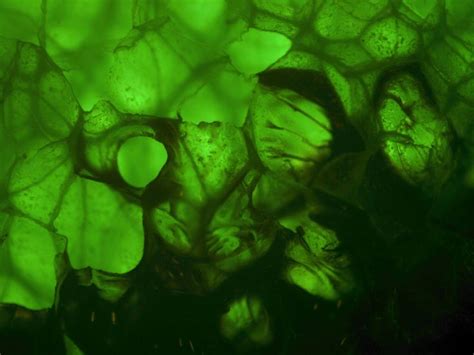 The Open Celled Structure Of Opflex Adsorbing Alaskan Crude Oil