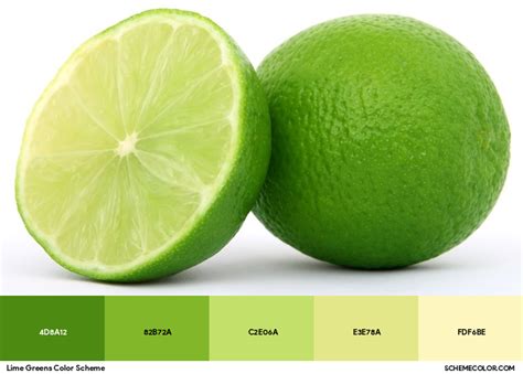 Lime Green Color Names