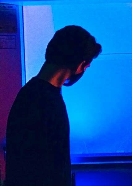 Kane Pixels Fan Casting