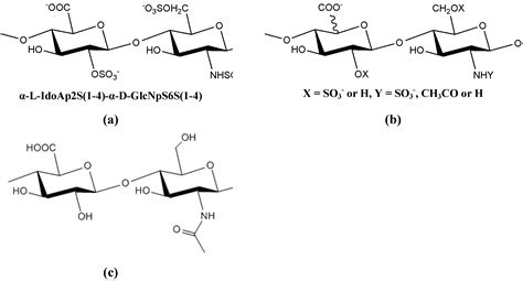 Bacterial Extracellular Polysaccharides Involved In Biofilm Formation