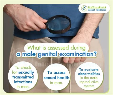 Man Genital Exam Penis Exam How To Self Test When To See A Doctor