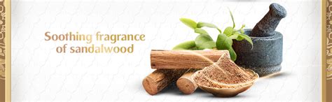 Vim Shudhham Gel For Copper Brass 250ml Health