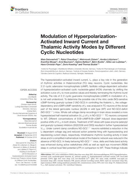 Pdf Modulation Of Hyperpolarization Activated Inward Current And Thalamic Activity Modes By
