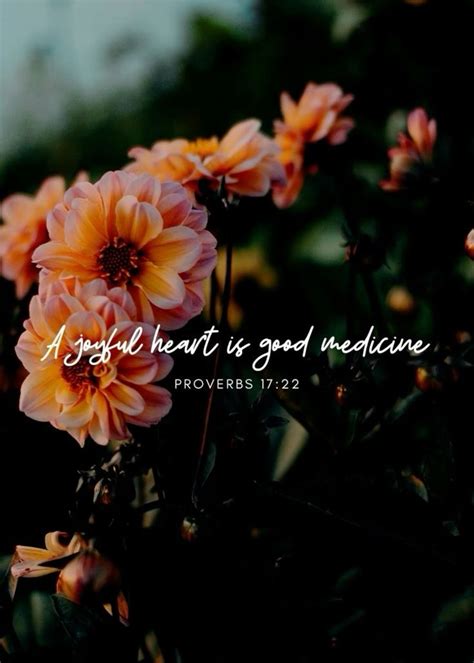 The Good Medicine Of Joy Proverbs 1722 🙏 Bible Scripture Bible