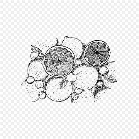 Cute Lemon Background Food Fruits Fruit Png And Vector With