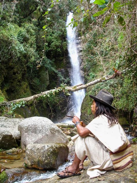 El Poporo Elemento Primordial En Procesos Tradicionales Y Espirituales