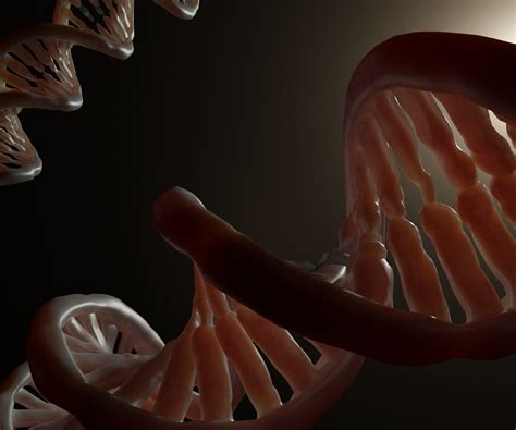 Spatial Transcriptomics Innovations And Novel Tools