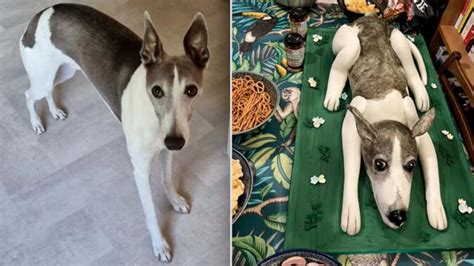 El Pastel Réplica De Un Perro Que Asombró Por Su Increíble Realismo