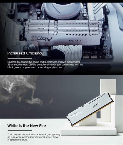 Kingston Fury Beast White Ddr5 Expo 5200mhz 5600mhz 6000mhz Desktop Kingston Fury Beast White Ddr5 Expo 5200mhz 5600mhz 6000mhz Desktop