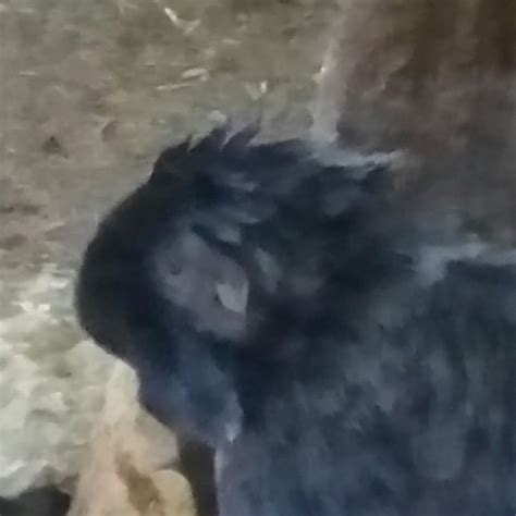 Savanna Wright Youtube