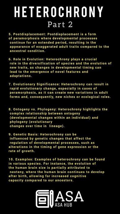 Heterochrony Part 2 Heterochrony Notes Heterochrony Evolution