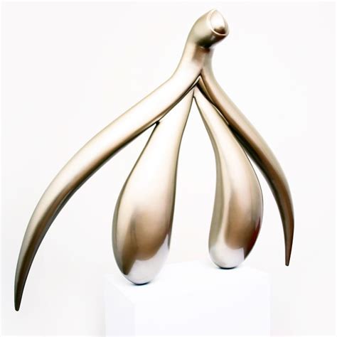 Kosher Sex The Mighty Clitoris The Clitoris Has A Facebook