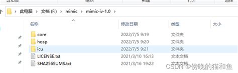 mimic iv数据库安装（二） mimic数据库安装 csdn博客