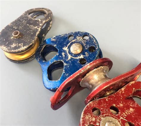 Treepartner Training Loler Through Examinations