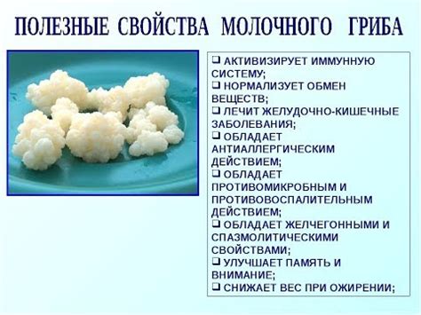 Тибетский молочный гриб (кефирный грибок) имеет следующую инструкцию по ...