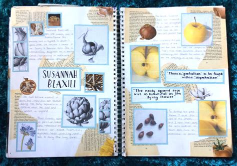 Susannah Blaxill 1954 2025 Botanical Art And Artists