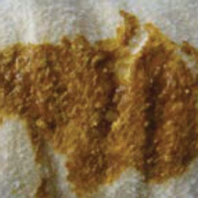 Información Sobre El Popó Wyoming Wic