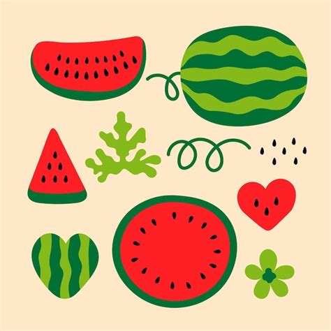 Premium Vector Watermelon Vector Elements Set