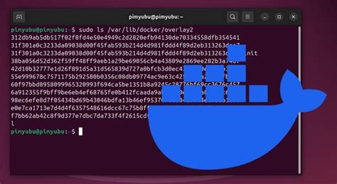 Where Docker Images Are Stored On Linux Pi My Life Up