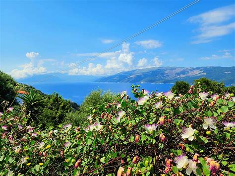 La Mágica Isla De Itaca Tras Las Huellas De Ulises Al Encuentro De La