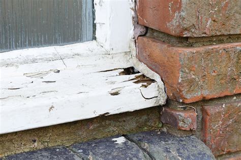 Housing Disrepair Claims Windows And Doors Complaints No Win No Fee