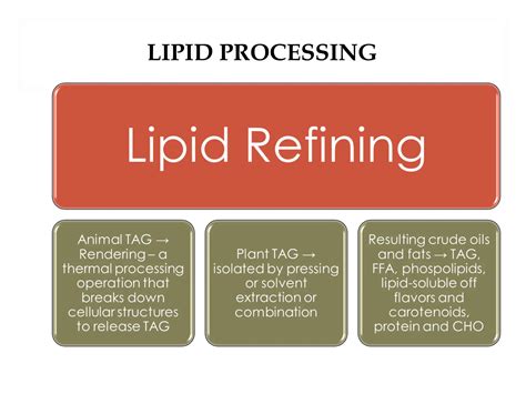 Lipid Ii Lipids Are Fatty Waxy Or Oily Compounds That Are Soluble In