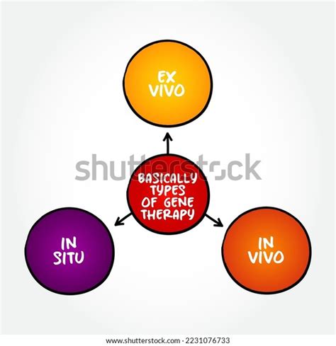 Basically Three Types Gene Therapy Mind Stock Vector Royalty Free