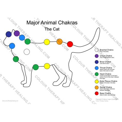 How To Balance Cat Chakras At Brianna Conley Blog