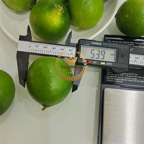 Frozen Lime Takimex Global Co Ltd