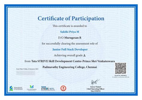 Skilldevelopment Tatastrive Internshipexperience Fullstackdeveloper