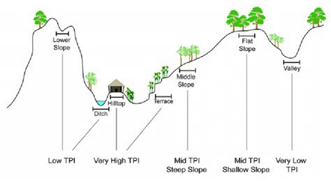 Expected Topographic Position Index Tpi Values For Natural And Download Scientific Diagram