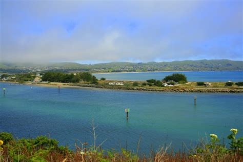 Stillhowlyntravels Bodega Bay Is For The Birds