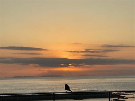 Mb Gallery Chatan By The Terrace Hotels Updated 2025 Prices And Hotel