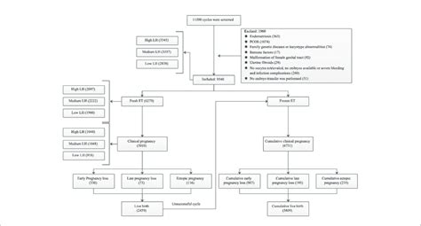 Flow Chart Of Patient And Cycle Selection Pcos Polycystic Ovary