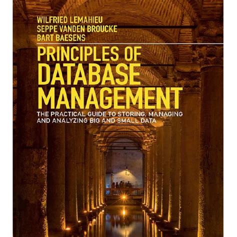 Jual Eng29 Principles Of Database Management The Practical Guide To